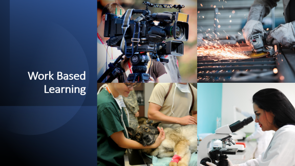 CTE Work-Based Learning Course | CTE CTE Work-Based Learning Course | CTE